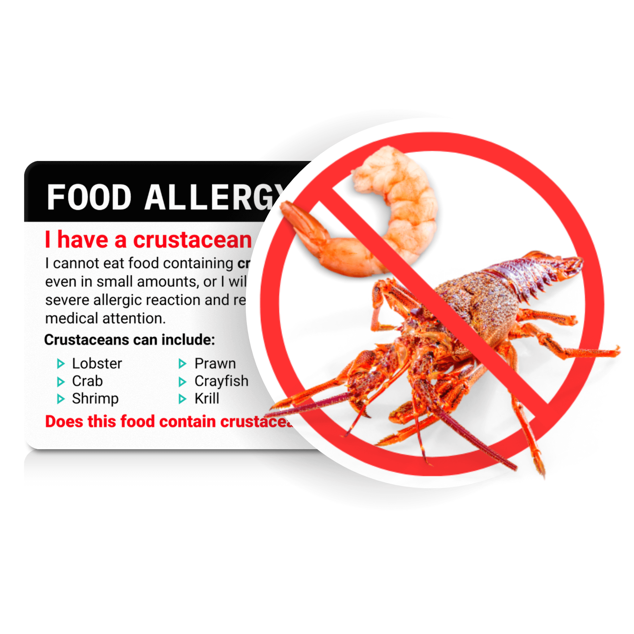 Crustacean Allergy Card | Your Crustacean Allergies Understood | Equal Eats