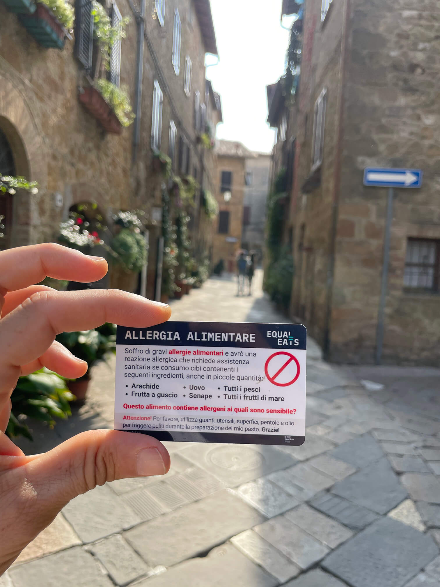 Italian Mustard Allergy Card | Be Understood in Italy | Equal Eats